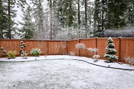 Snow is Coming - Bella Terra Landscapes